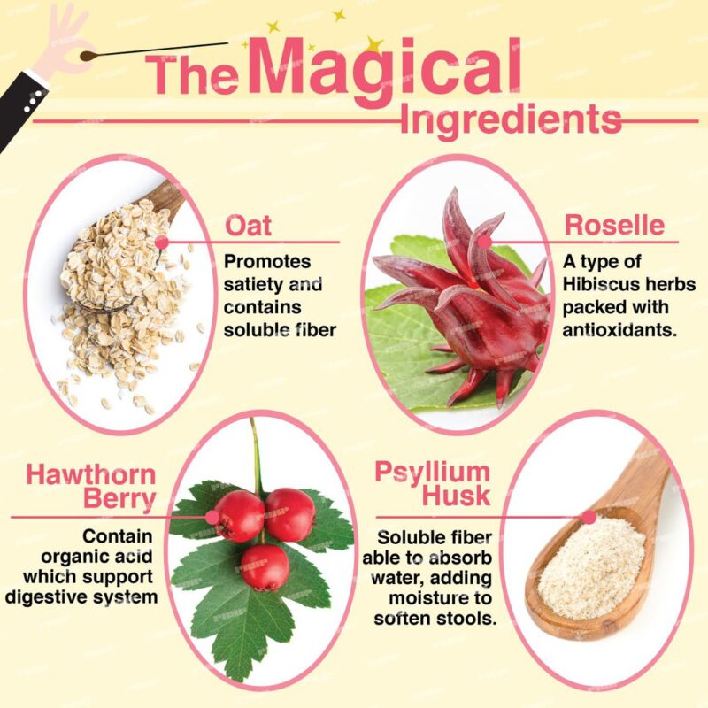 PHHP Brand Phyto Fiber Botanical Beverage Mix Lemon Flavour (Set of 1 ...